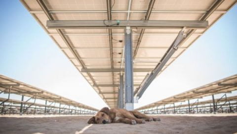 Professional Solar Energy Solutions in Zimbabwe